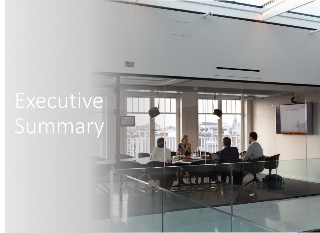 Nudge Training Executive Summary